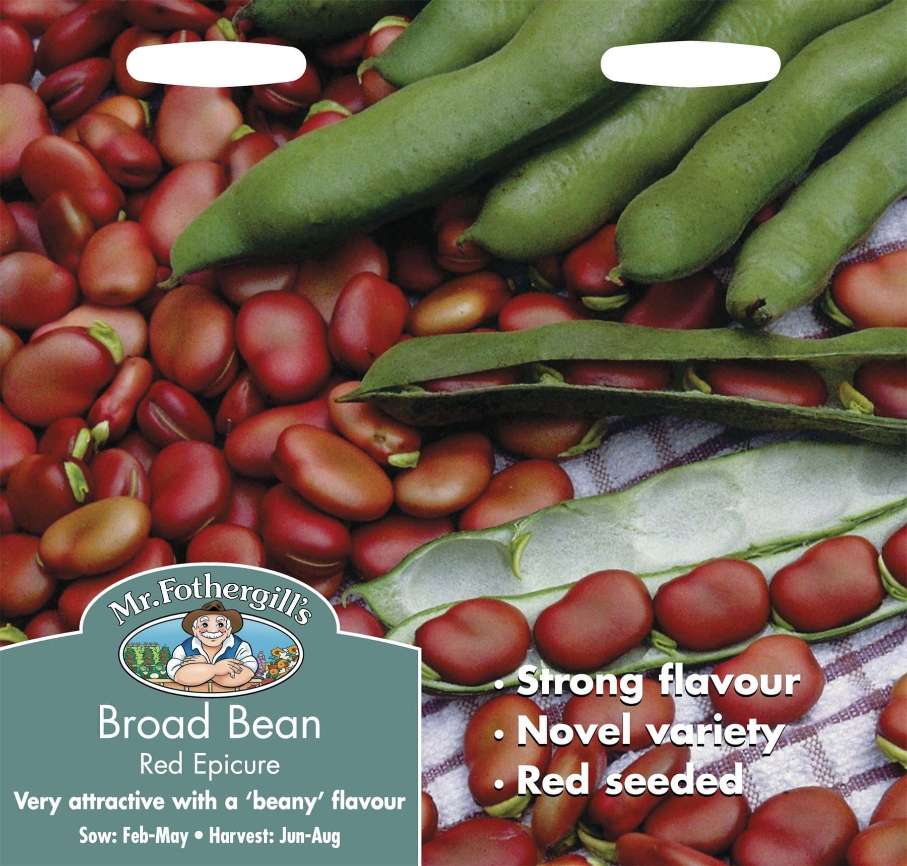 Mr Fothergills Broad Bean Red Epicure 45 Seeds – JustSeed