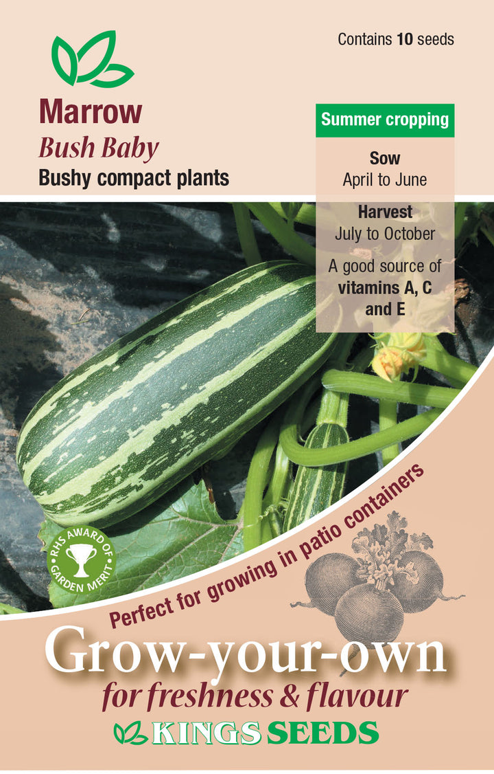 Marrow Seeds – Grow Large, Tender & Productive Vegetables – JustSeed