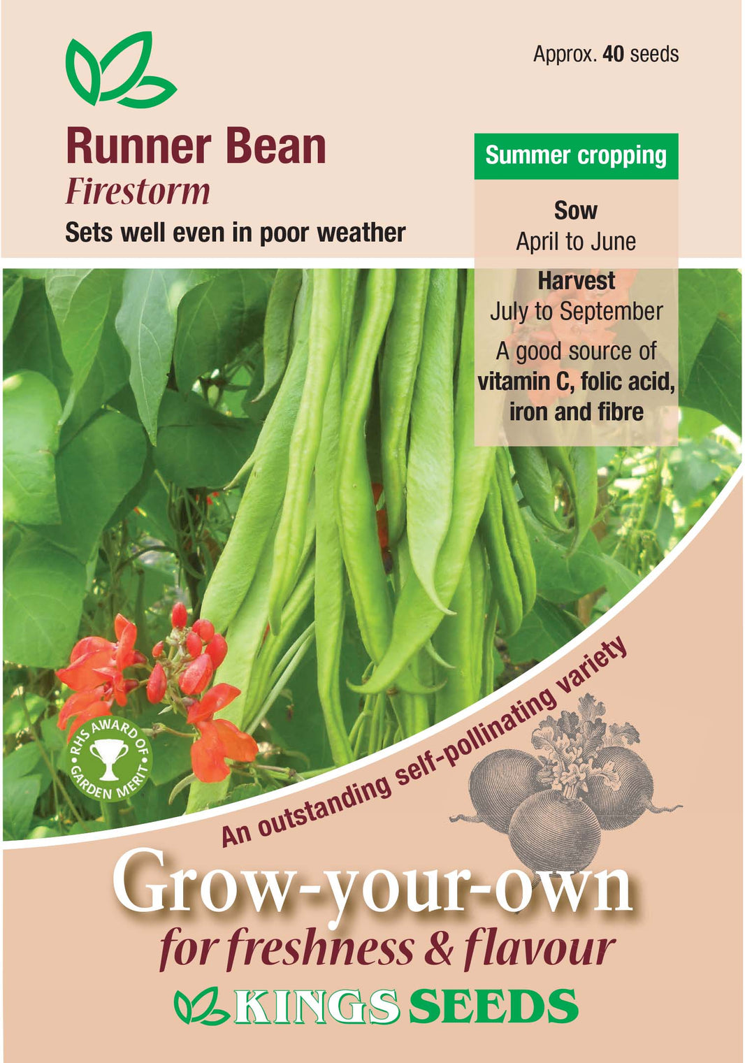 Runner Bean Seeds - Large Range Online UK – JustSeed