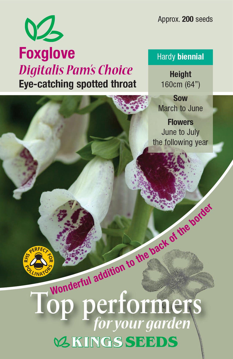 Foxglove Digitalis Seed – JustSeed
