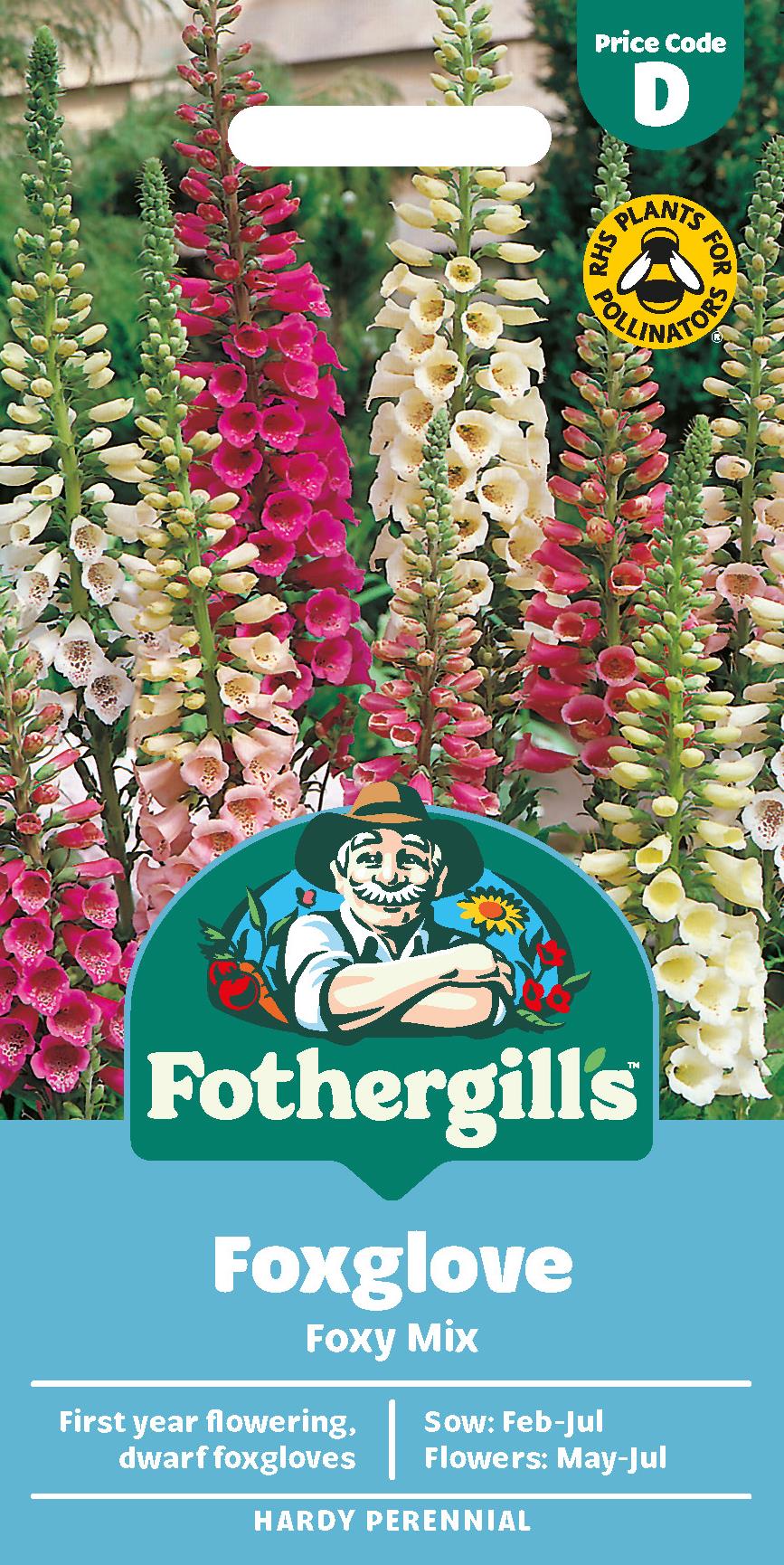 Fothergills Foxglove Foxy Mix Seeds – JustSeed
