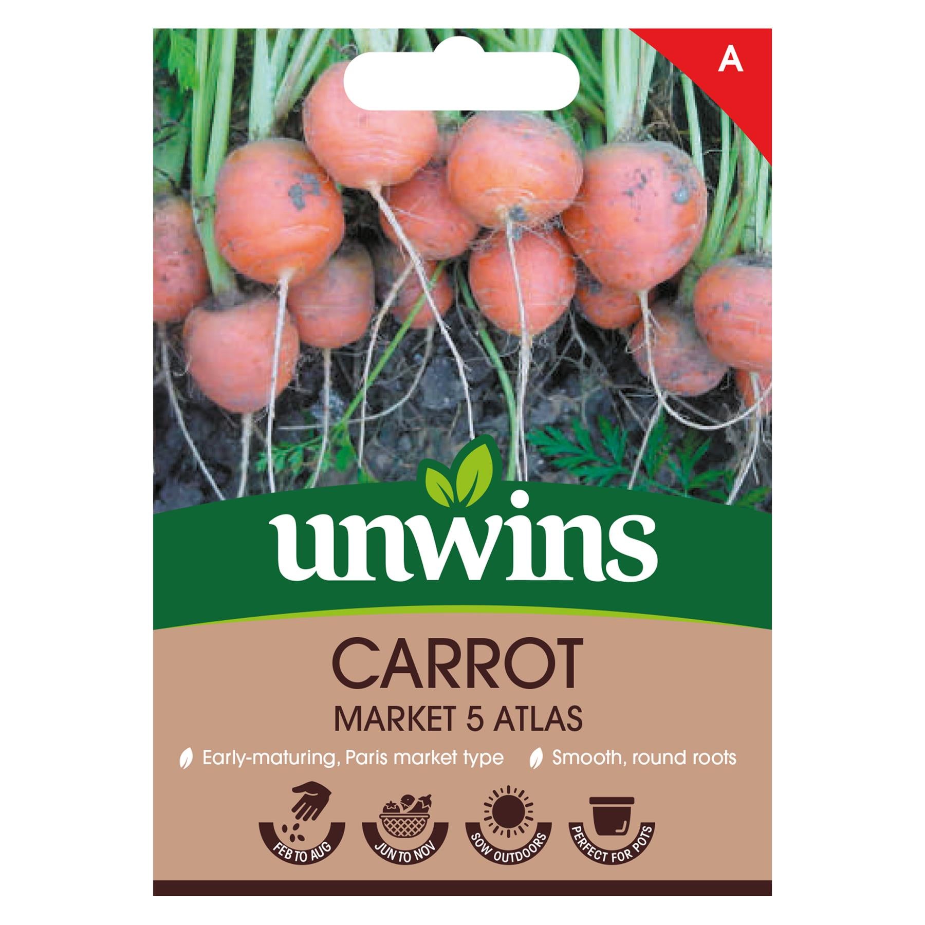 Unwins Vegetable Carrot Market 5 Atlas - 750 Seeds – JustSeed