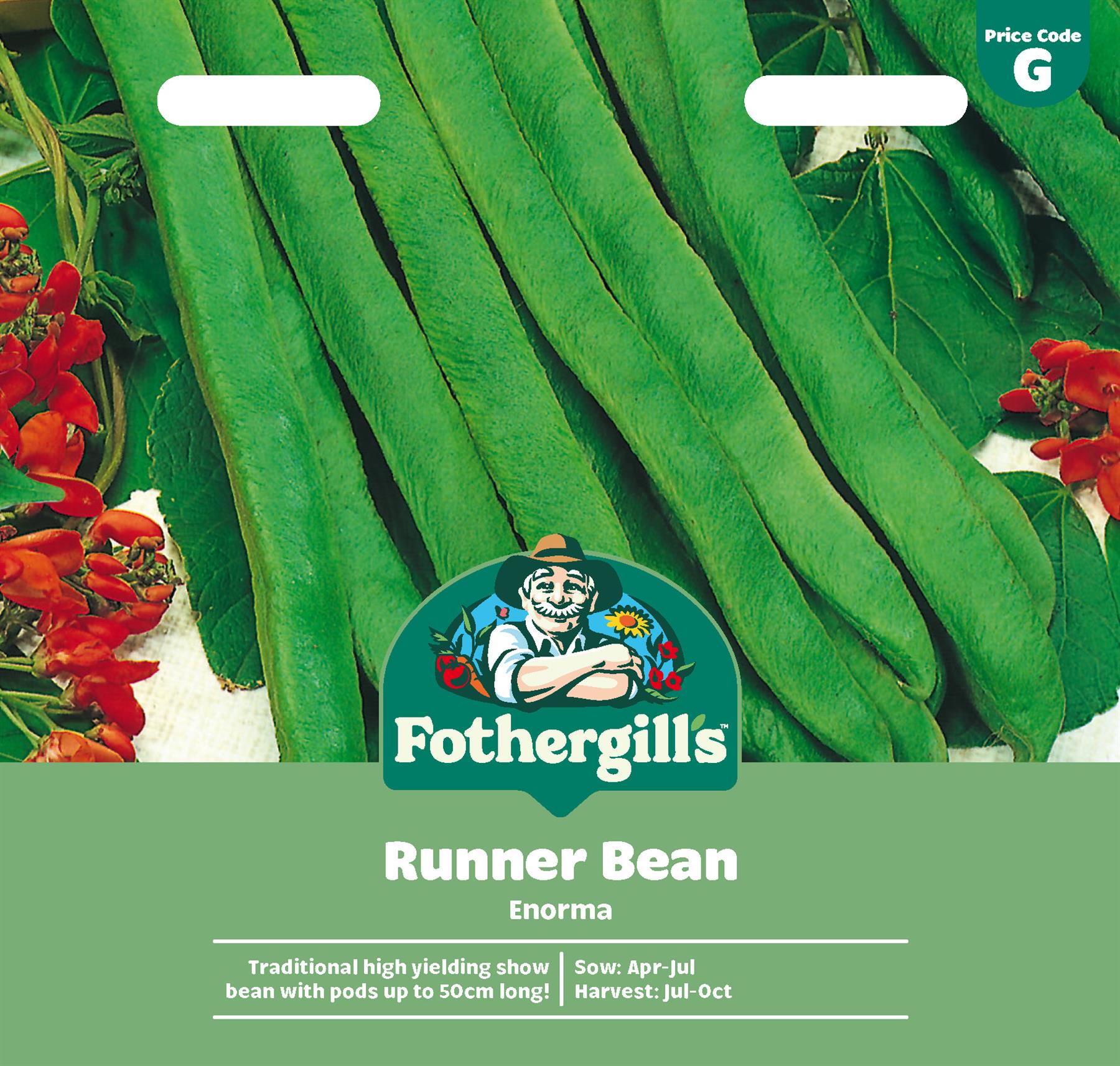 Fothergills Runner Bean Enorma Seeds – JustSeed