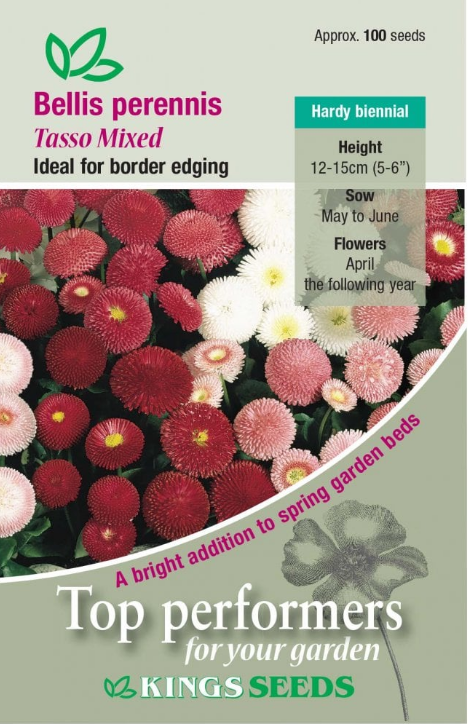 Kings Seeds Bellis Tasso Mixed 100 Seed - Reduced due to short life ...