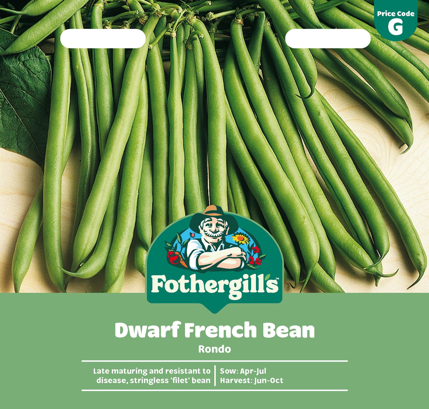 Fothergills Dwarf French Bean Rondo Seeds – JustSeed
