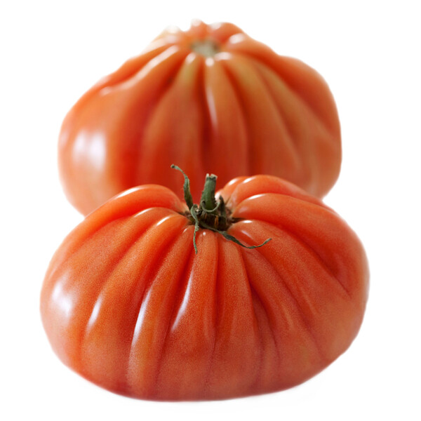 Tomato Rugantino RZ F1 Hybrid Seeds – JustSeed