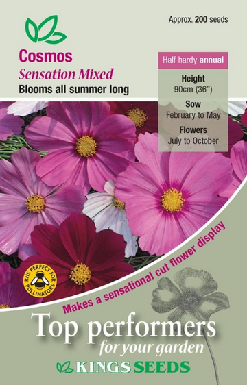 Cosmos Seed Large Range Online UK – JustSeed