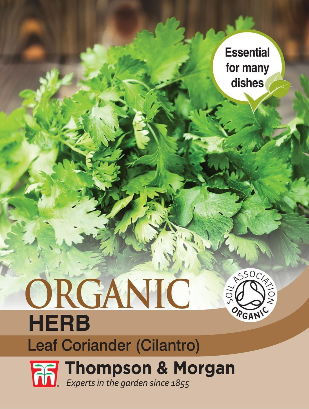 Coriander Seed - Online UK – JustSeed