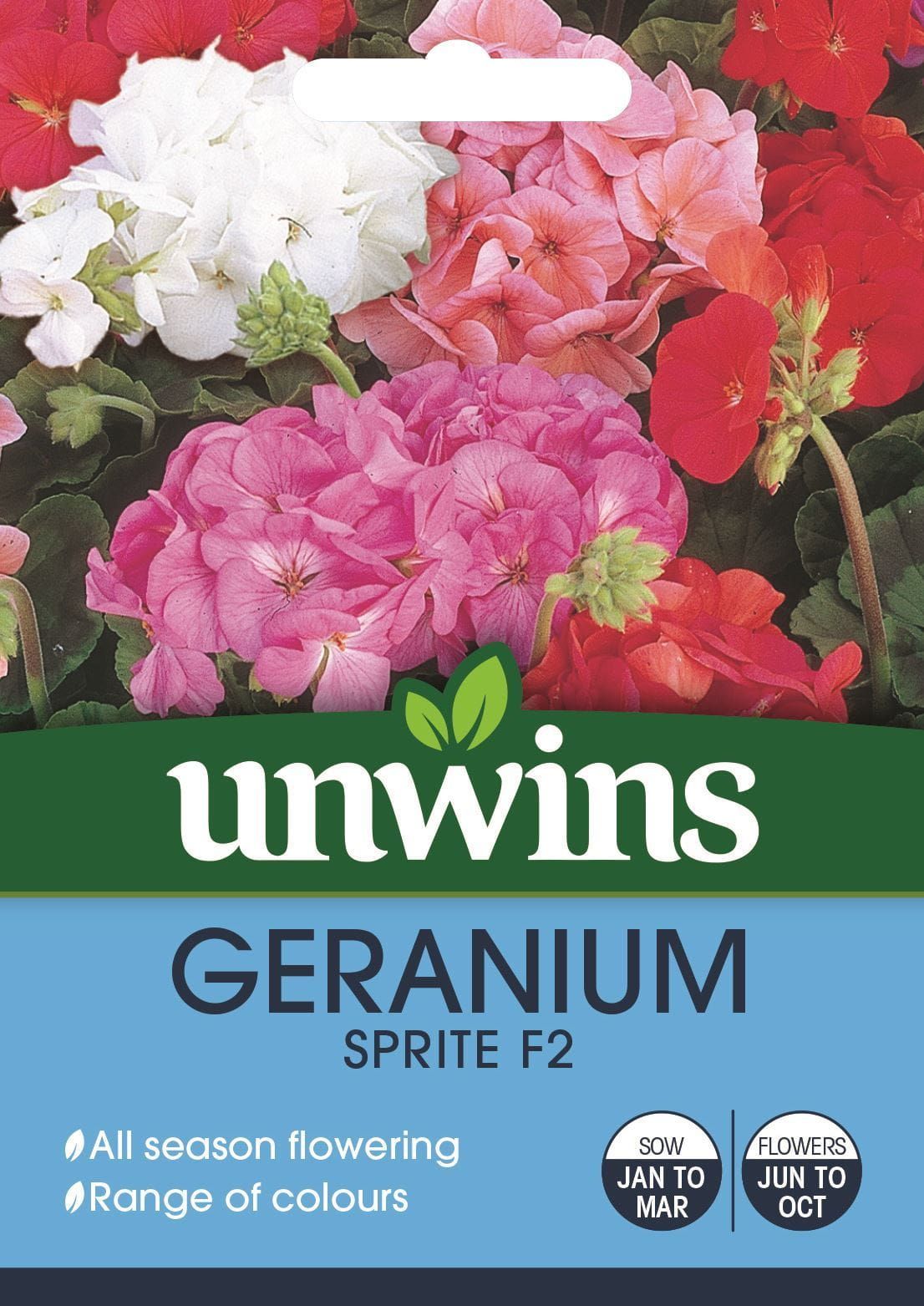 Geranium Seeds Available Online UK – JustSeed
