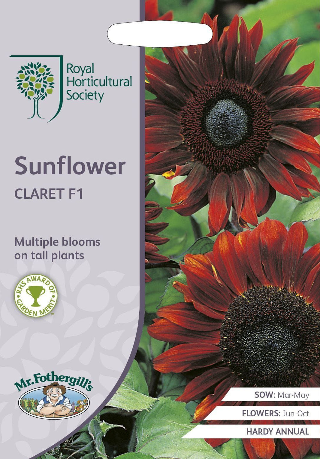 Mr Fothergills Vegetable Seed | Flower Seed | JustSeed