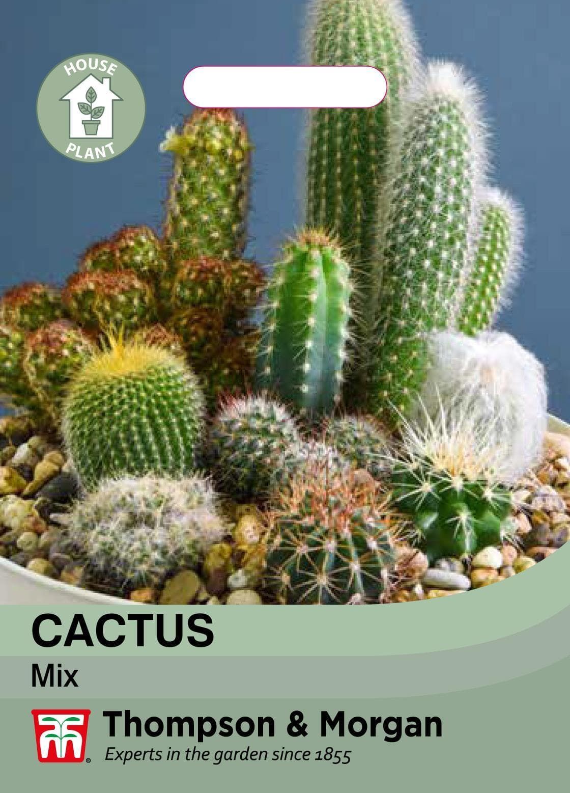 Cactus Seeds – JustSeed