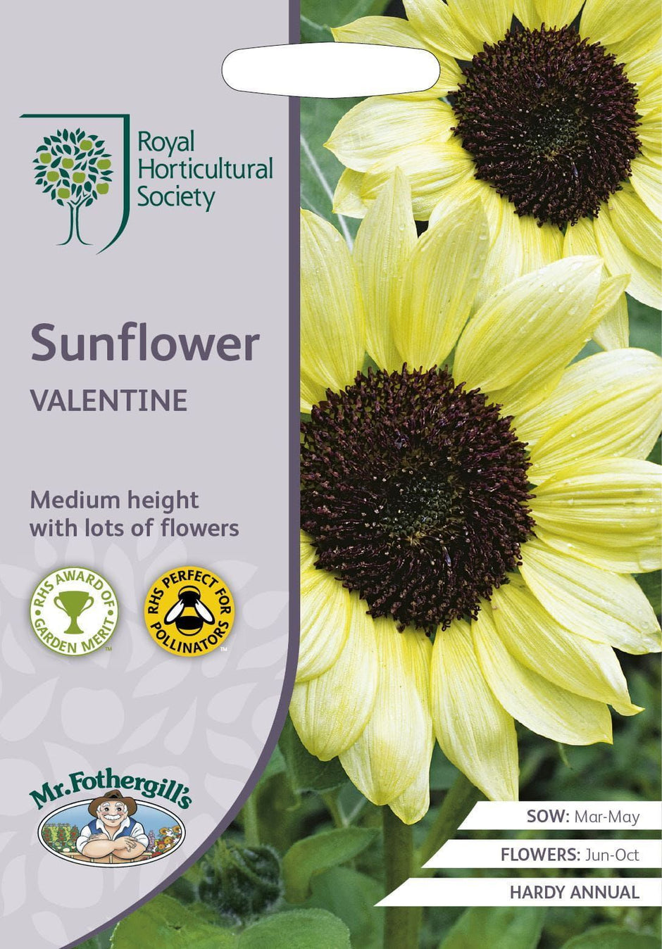 RHS Seed Recommendations Online UK – JustSeed