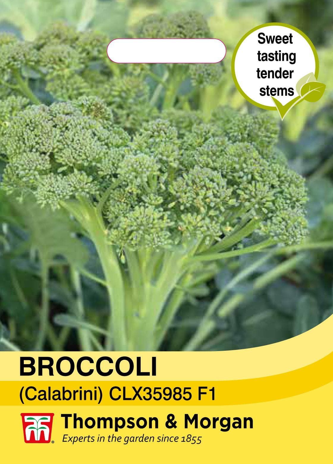 Thompson & Morgan Vegetable Broccoli calebrini Sweet Returns - 10 Seed ...