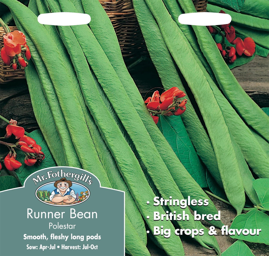 Runner Bean Seeds - Large Range Online UK – JustSeed