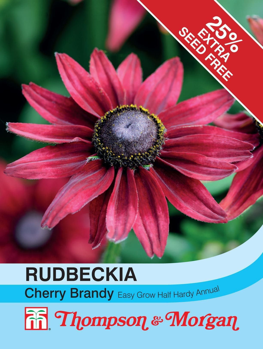 Thompson & Morgan Seeds – Premium Flower, Vegetable & Herb Seeds Online ...
