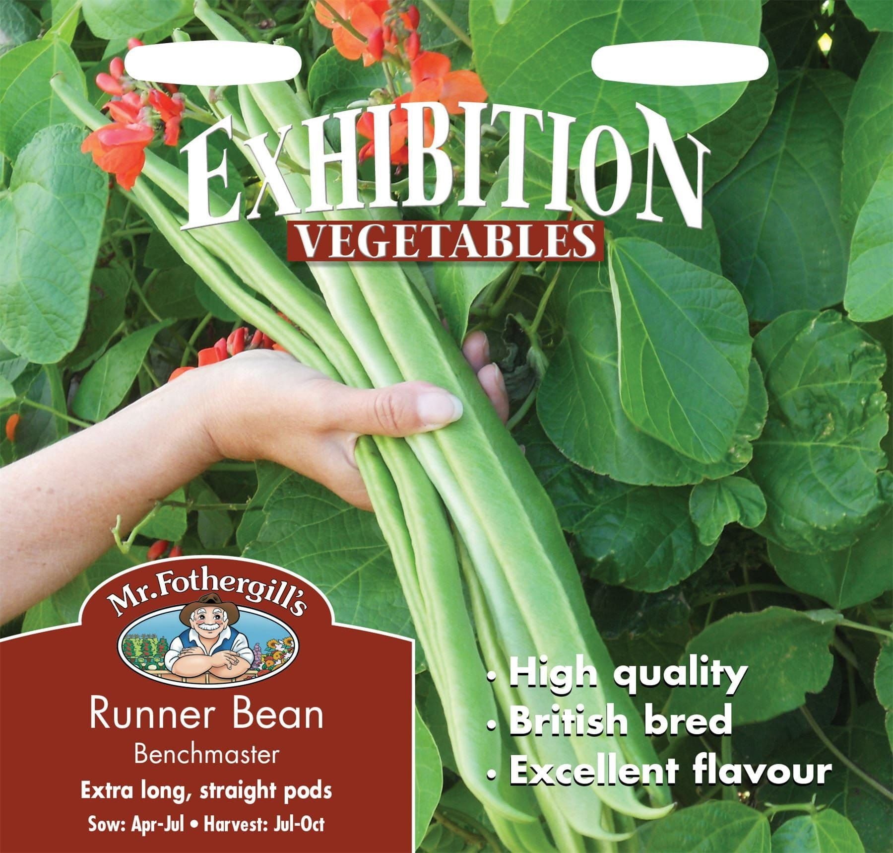 Runner Bean Seeds - Large Range Online UK – JustSeed