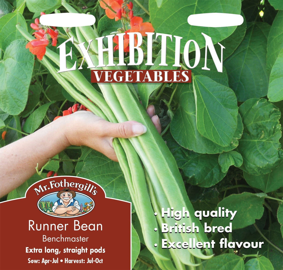 Runner Bean Seeds - Large Range Online UK – JustSeed