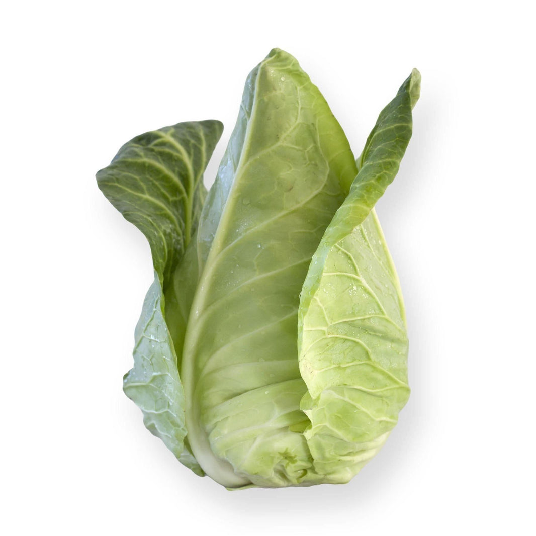 Cabbage Seeds – Easy to Grow – JustSeed