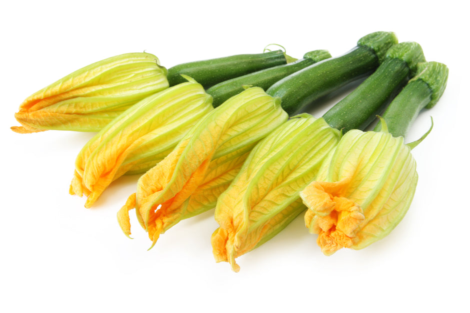 Courgette Seeds - Large Range Online UK – JustSeed