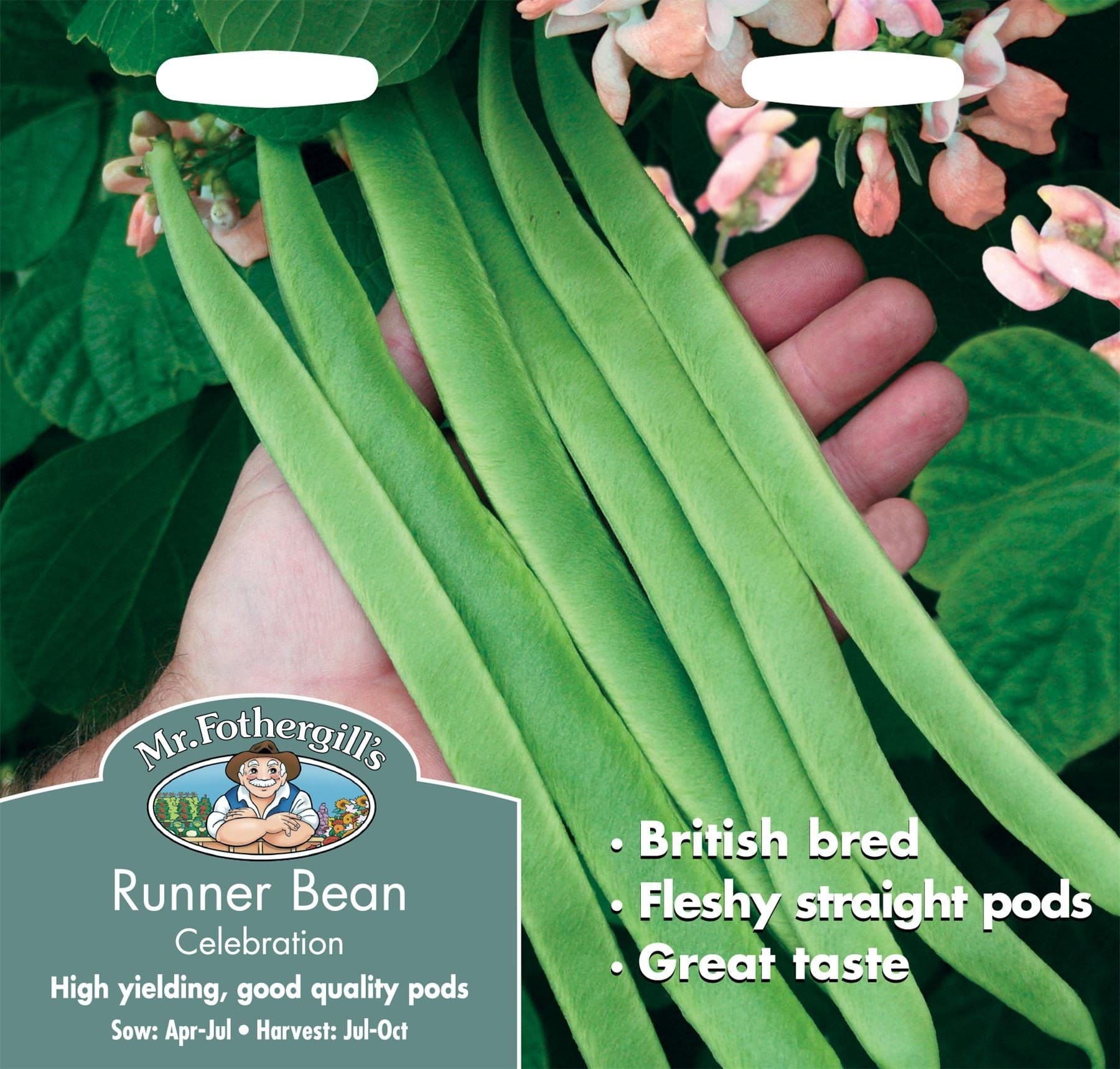 Runner Bean Seeds - Large Range Online UK – JustSeed
