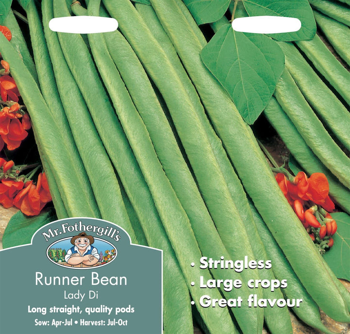 Runner Bean Seeds - Large Range Online UK – JustSeed